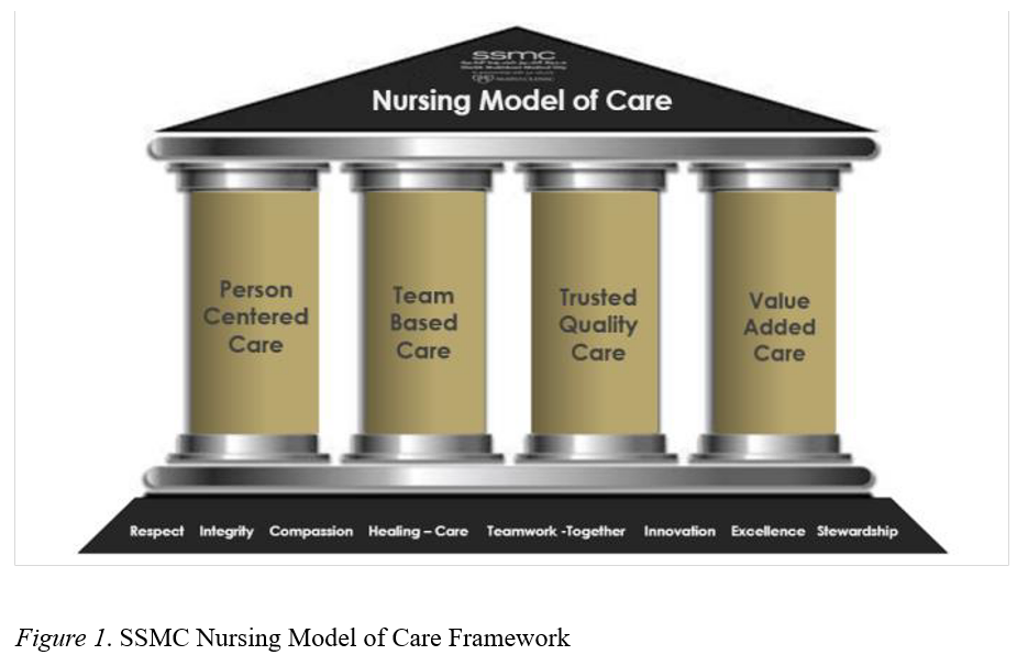 Destination Medical Center: Establishing Nursing Best Practice by ...